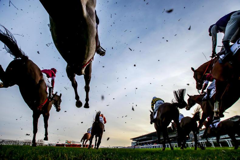 The Irish Field: Frequently Asked Questions 25 February 2020 Free