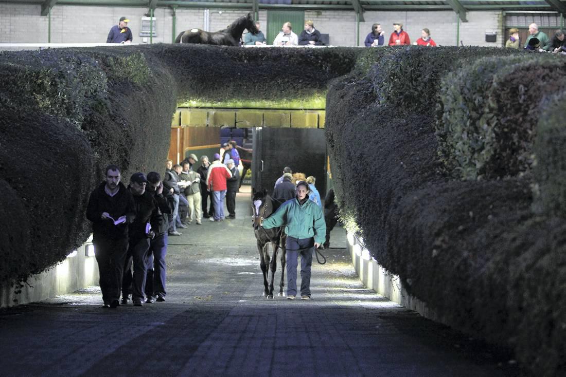 NICK NUGENT: In the depths of Dundrum 14 November 2014 Premium