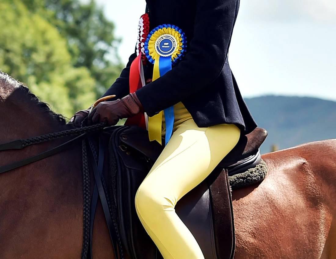 Irish Pony Society celebrates 50 years 28 November 2014 Premium