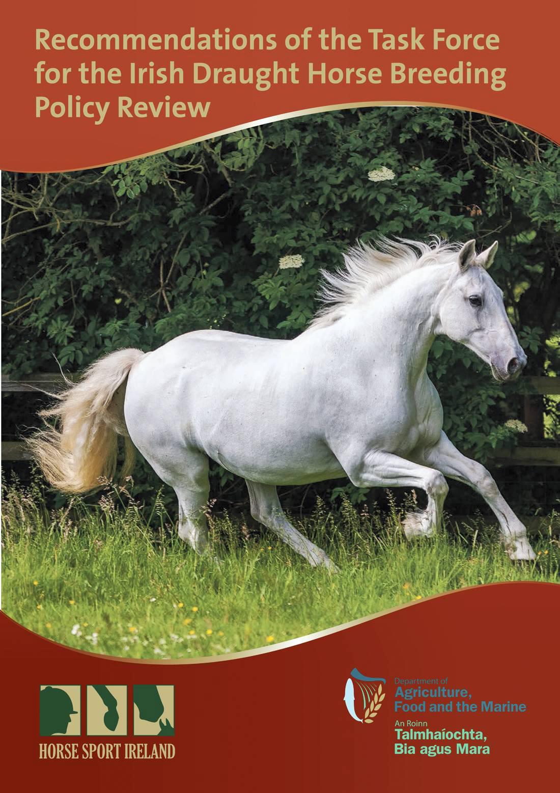 Preservation of traditional Irish Draught traits is key 28 November ...