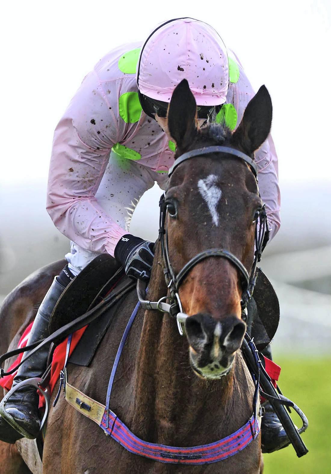 Walk In The Park for rising star Douvan 16 January 2015 Premium
