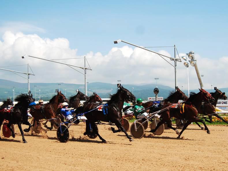 European recognition for Irish Harness Racing Association 20 February ...