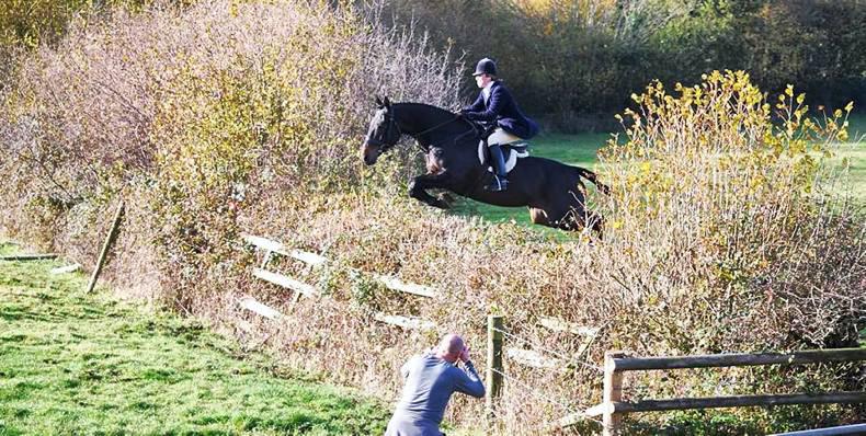 Hedge-hopping photograph causes a stir 20 March 2015 Premium