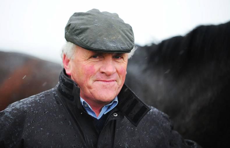 NICK NUGENT: Every little helps 27 March 2015 Premium