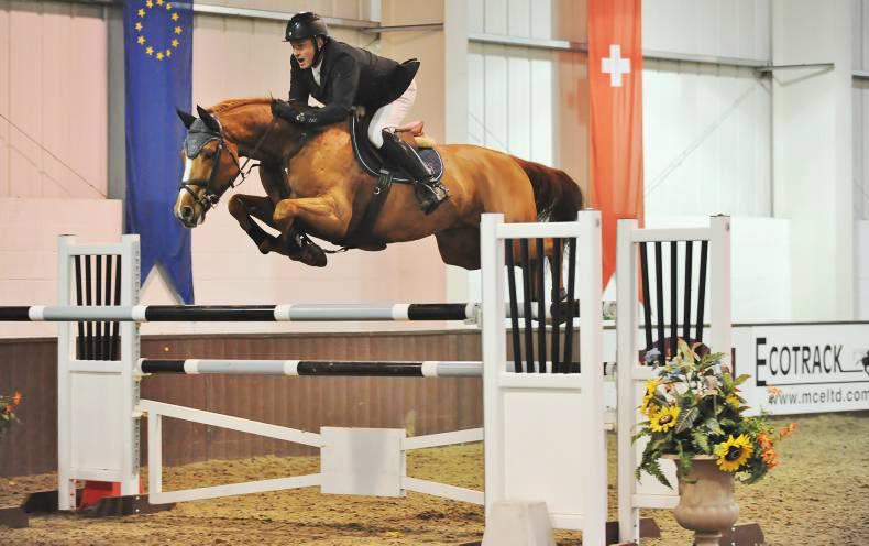 Doyle hits top-form at Addington Manor with Calafornia 20 November 2015 ...