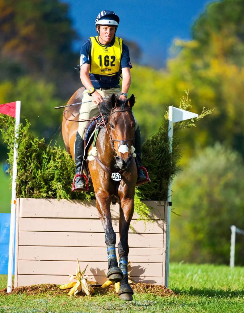 Enduring legacy of the unique Irish-bred horse 18 December 2015 Premium