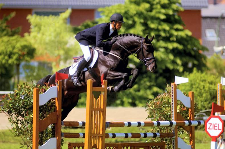 The Stallion Company to open new insemination centre 23 December 2015 ...