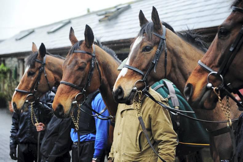 The Irish Field's top free and premium stories of the week 04 March ...