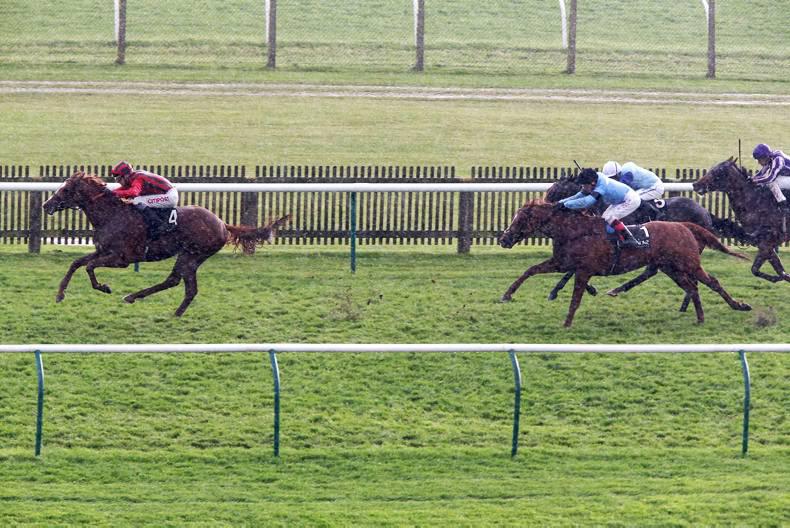 Stormy Antarctic too hot for favourite Foundation in Craven test 14 ...