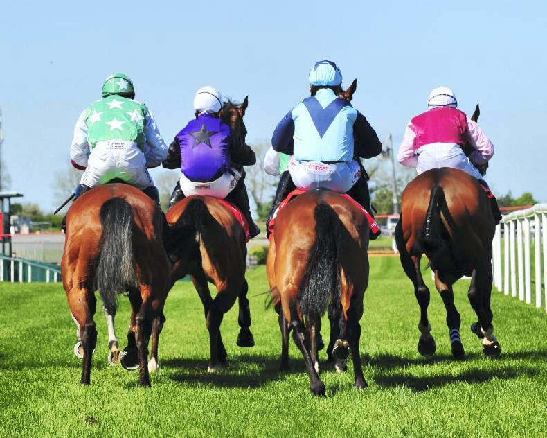 Get set for the weekend with The Irish Field 20 May 2016 Free