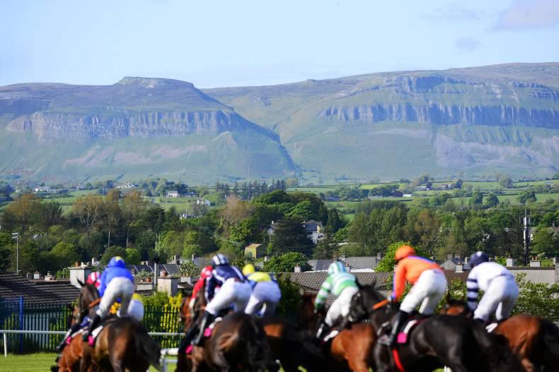 Take a look inside this week's Irish Field 27 May 2016 Free