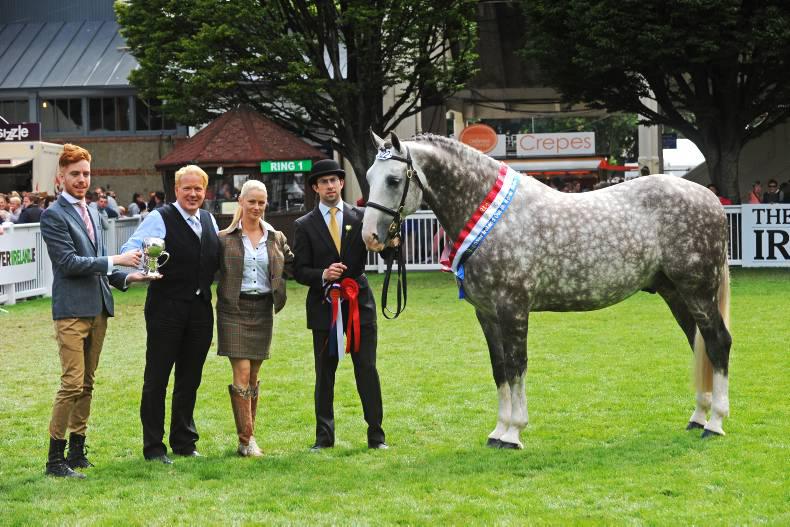 Dublin Horse Show preview: Cappa Stud aims for Irish Draught 4x4 win 15 ...