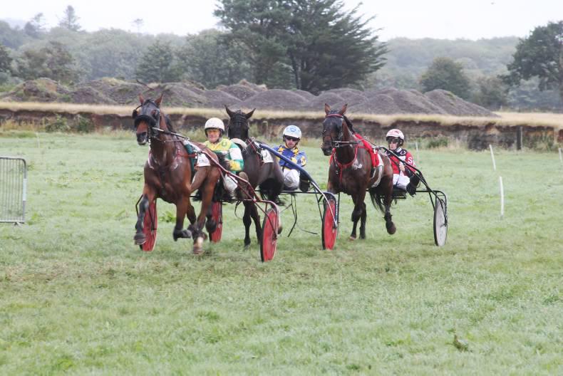 HARNESS RACING: Kildare sees the Sunnyside in Red John Final 26 August ...