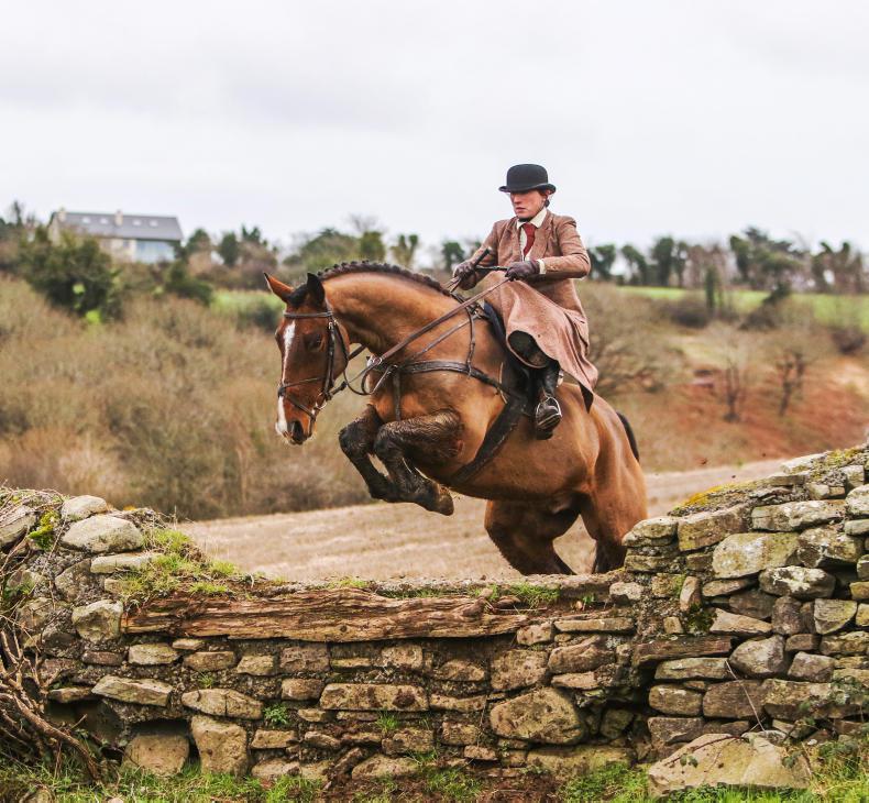 HORSE SENSE: What to look for in an Irish hunter 01 January 2011 Premium