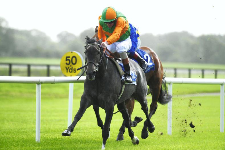 NAAS SUNDAY PREVIEW: Miss Qatar can follow up on recent maiden success ...