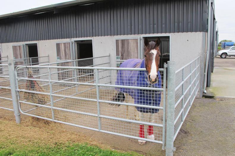 HORSE SENSE: Stable design with the horse in mind 01 January 2011 Premium