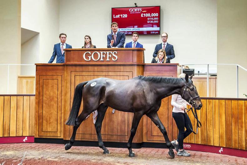 Gordon Elliott and Mouse Morris secure top lots at Goffs UK Spring ...