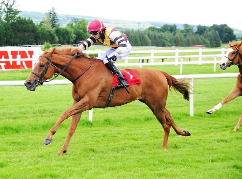 TALKING TRAINER: Feane firing up for another good season 14 July 2017 ...