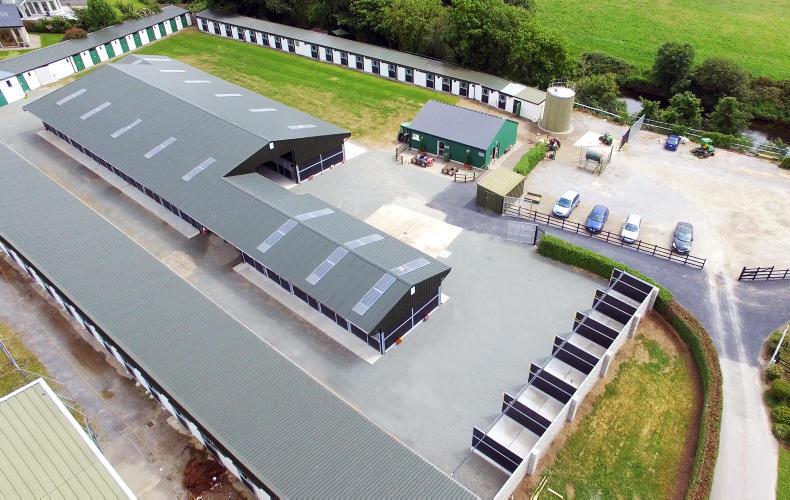 HORSE SENSE: Your go-to-guide for stable design 28 July 2017 Premium