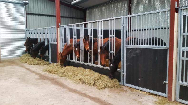 HORSE SENSE: Your go-to-guide for stable design 28 July 2017 Premium