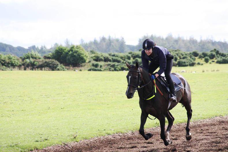 Trained by experts to be exercise riders in just four weeks 01 ...