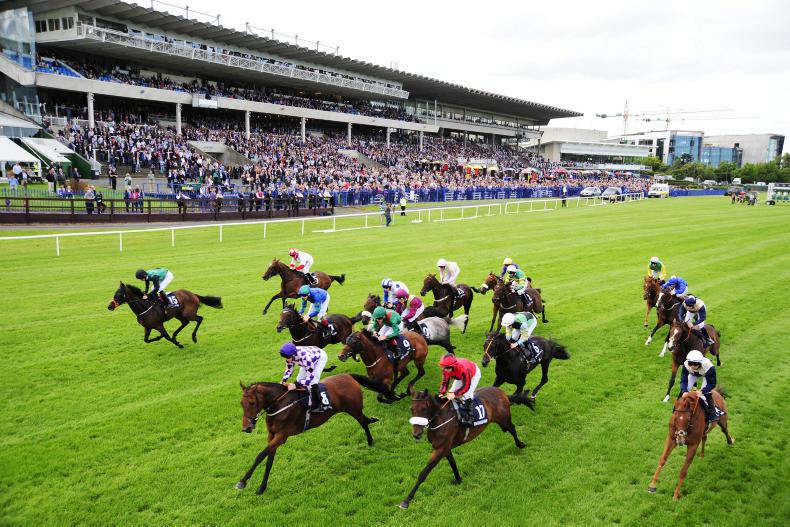 What's in The Irish Field this weekend? 06 September 2017 Free