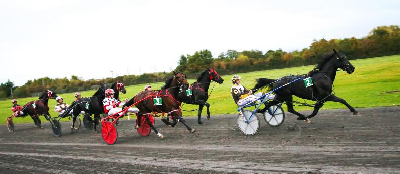 HARNESS RACING REVIEW OF THE YEAR: Indecon report points the way ...