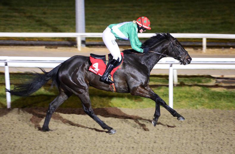 Quail wins hugely succesful Horseware Event Riders Challenge fundraiser ...