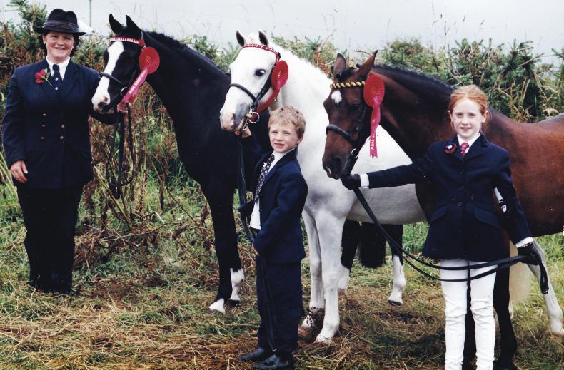 WEST OF THE SHANNON: An autumn to remember for the Howley family 19 ...
