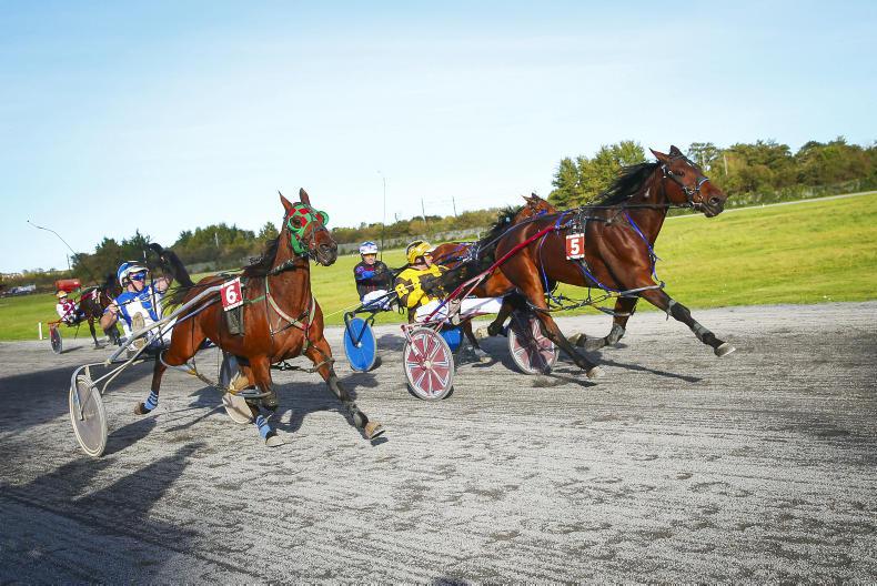 HARNESS RACING: Richardson odds-on for another title 19 October 2018 ...