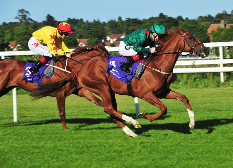 LEOPARDSTOWN PREVIEW: Masaff day on the cards for in-form Weld 26 ...