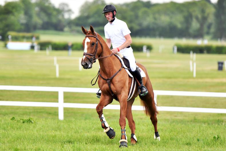 FEATURE: Jason Higgins - the future looks bright 25 January 2019 Premium