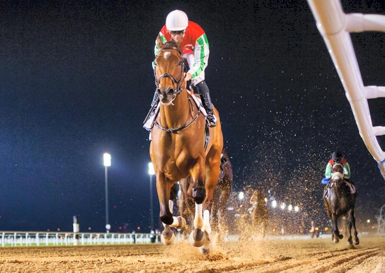 INTERNATIONAL RACING: North America sets the World Cup standard 08 ...