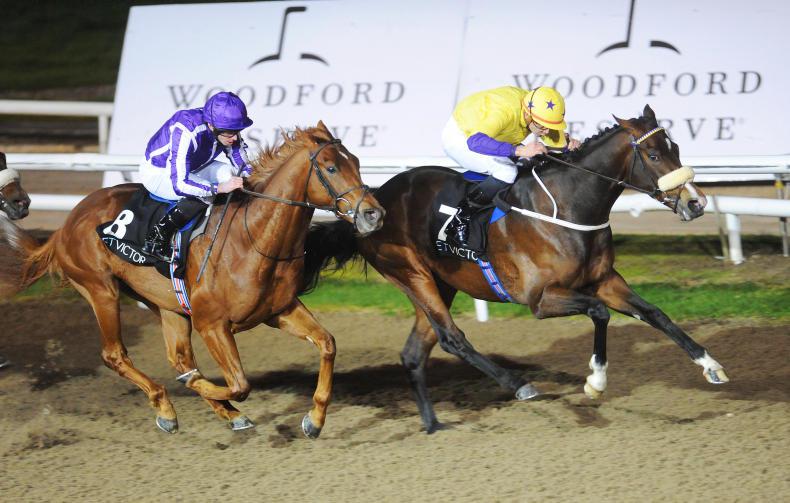 SIMON ROWLANDS: Big Impression made at Lingfield 29 March 2019 Premium