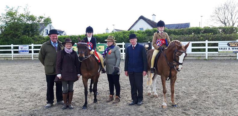 AROUND THE COUNTRY: Mini ponies out in force at IPS Spring Show 10 May ...