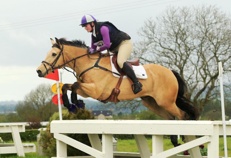 AMATUER EVENTING: Lyons and Rupert Bear a match made in heaven 09 ...