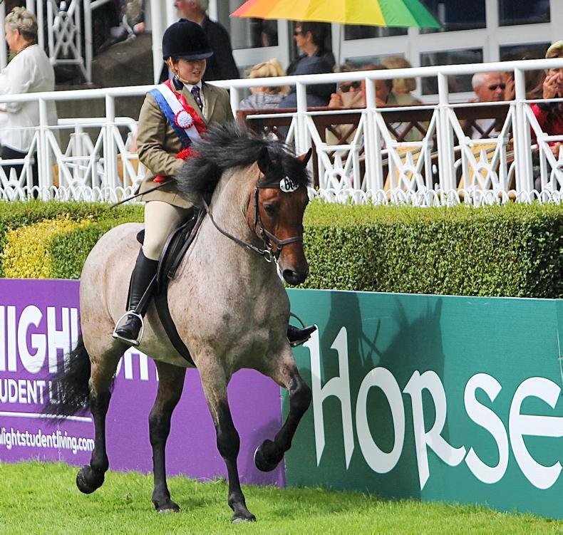 DUBLIN HORSE SHOW PICTURE DESK: Out and About 16 August 2019 Premium