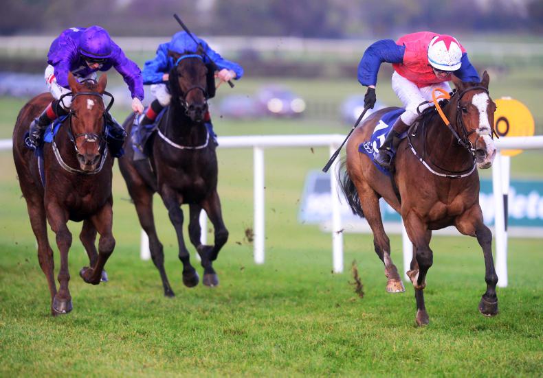 NAAS SUNDAY: Jukebox Jive has the right moves 08 November 2019 Premium