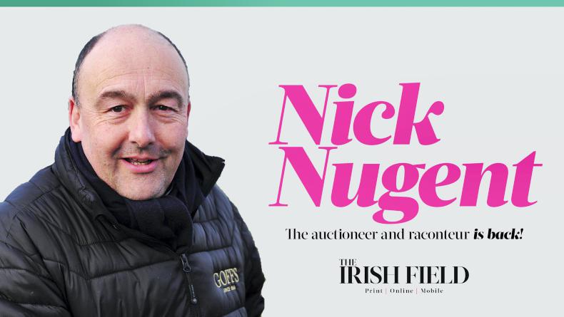 NICK NUGENT: Pat Smullen is the Cartier crown jewel 15 November 2019 ...