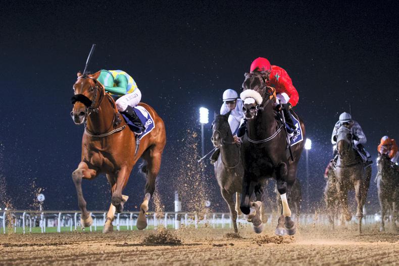 INTERNATIONAL RACING: UAE: A thrilling Al Maktoum Challenge win for ...