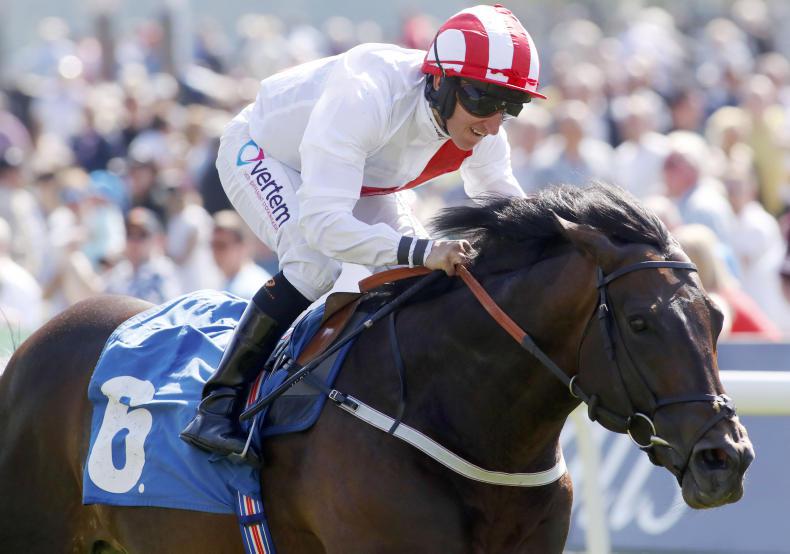 SIRE REVIEW: Invincible Army (IRE) - Standing at Yeomanstown Stud 24 ...