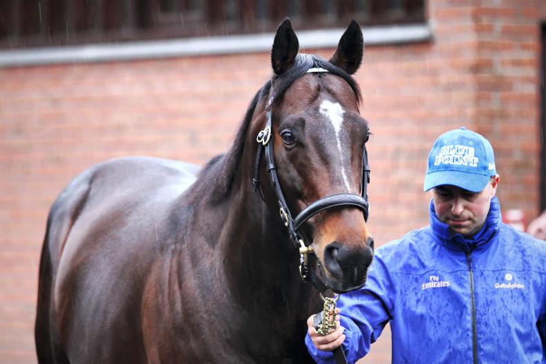 SIRE REVIEW: Blue Point (IRE) - Standing at Kildangan Stud 24 January ...
