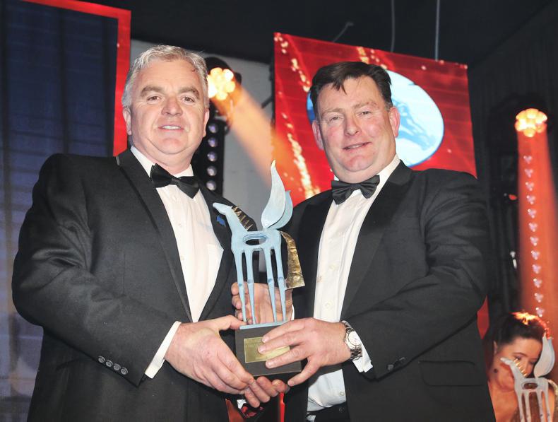 ITBA AWARDS: Red carpet rolled out for industry 'Oscars' 31 January ...