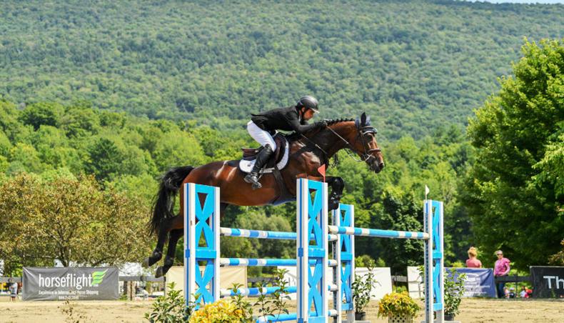 PONY TALES: New riders at Oakland Stables 15 May 2020 Premium