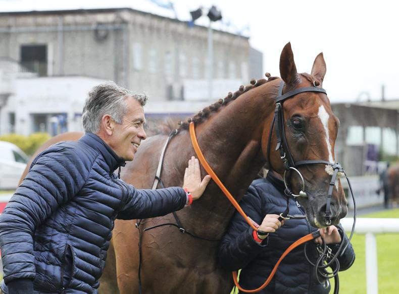 MARGIE McLOONE: Reverberation a revelation for Lambe 03 July 2020 Premium