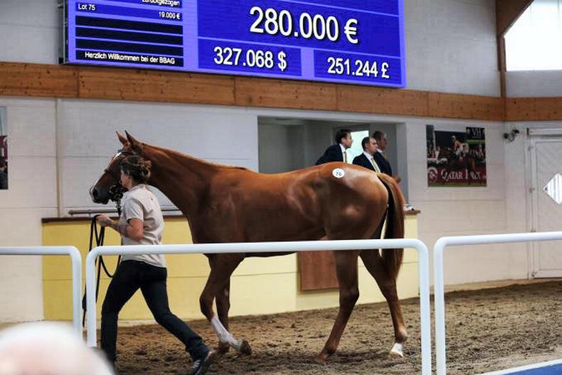 BREEDING INSIGHTS: German breeding to the fore again 07 August 2020 Premium