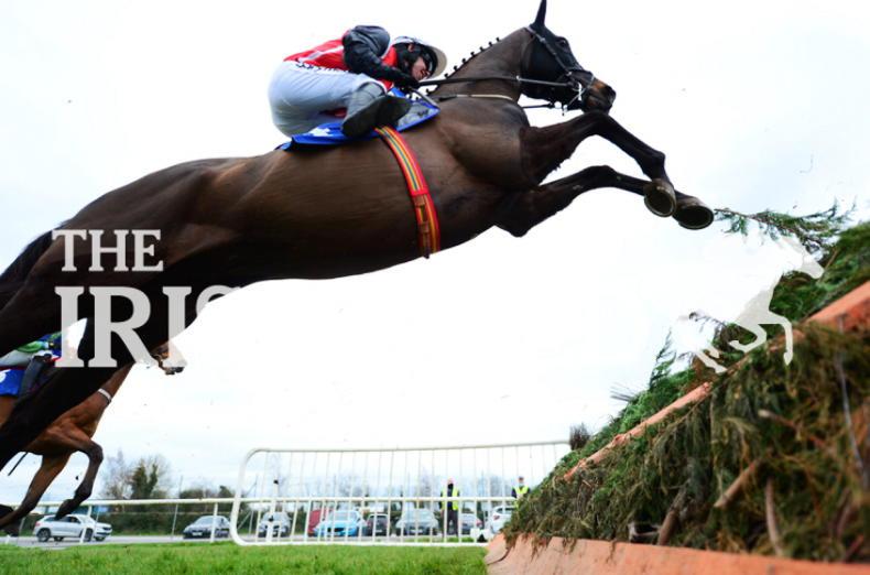 VIDEO: Andrew McNamara trains Thurles feature race winner 20 March 2021 ...