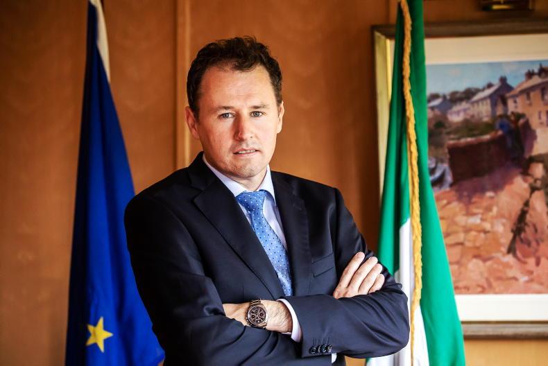 NEWS: DAFM examining Greenogue proposal - McConalogue 30 November -0001 ...