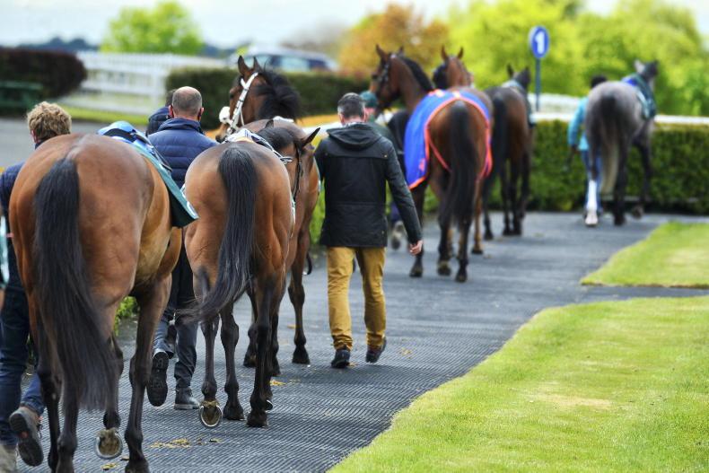 THE BIG INTERVIEW: Nicky Hartery 30 November -0001 Premium