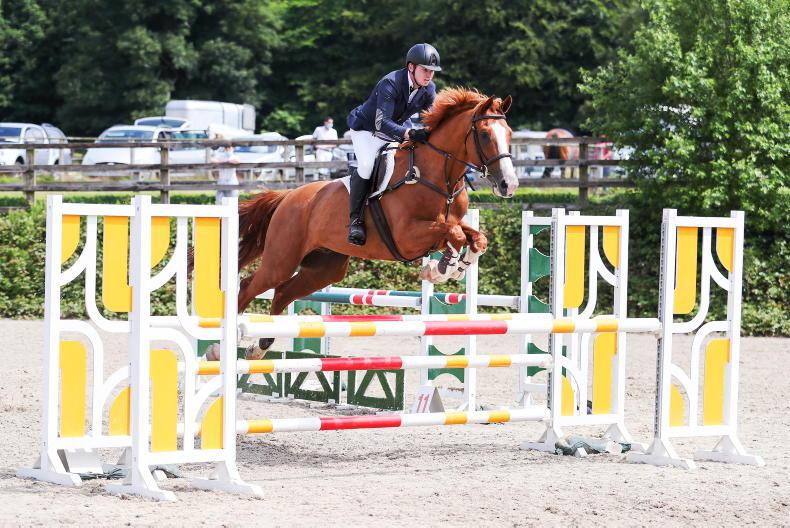 SHOW JUMPING: Final RDS placings secured by amateur riders 09 July 2021 ...
